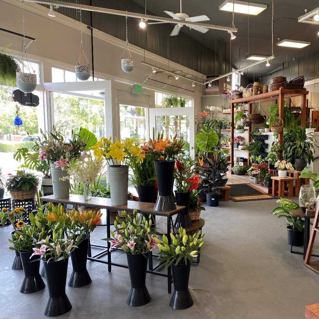 Santa Cruz Florist - Flower Delivery by Ferrari Florist & Gardens